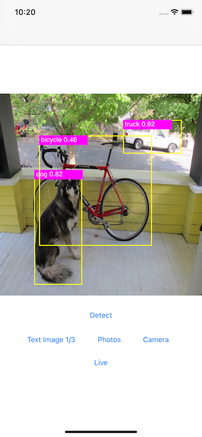Pytorch Mobile 演示应用的概述 Pytorch Pytorch 深度学习库