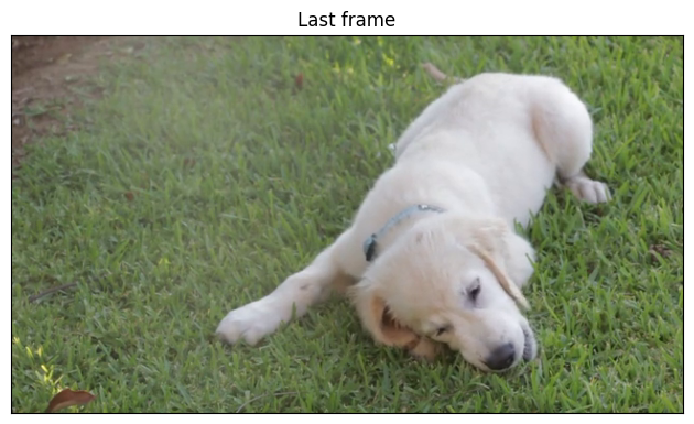 使用 VideoDecoder 解码视频 — TorchCodec 0.1 文档 - PyTorch 框架