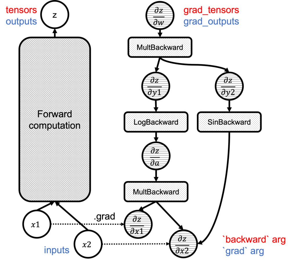 PyTorch 中计算图的执行方式 – PyTorch - PyTorch 框架