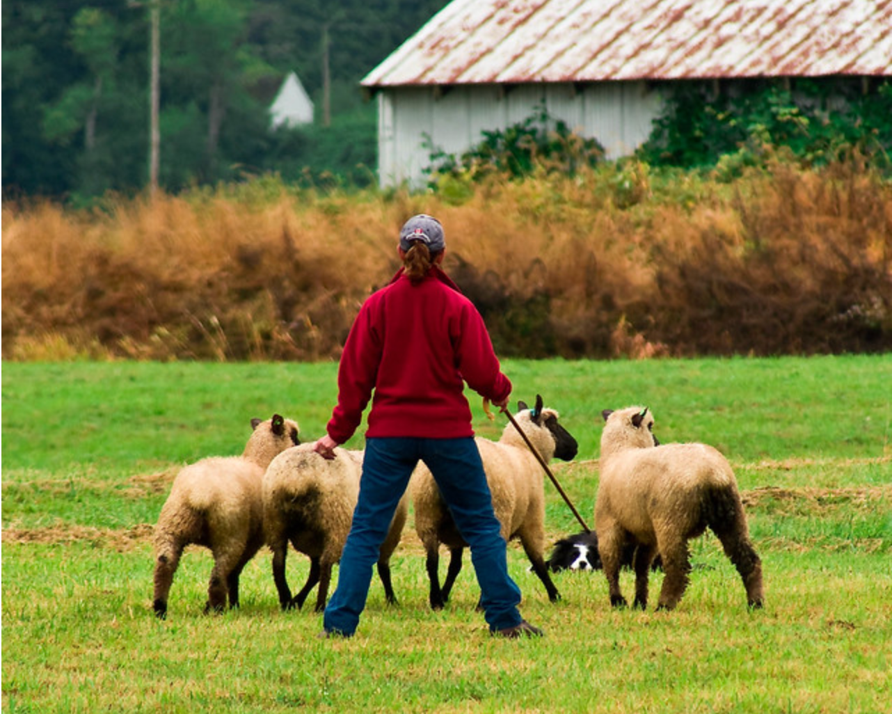 Deeplabv3 – PyTorch - PyTorch 框架